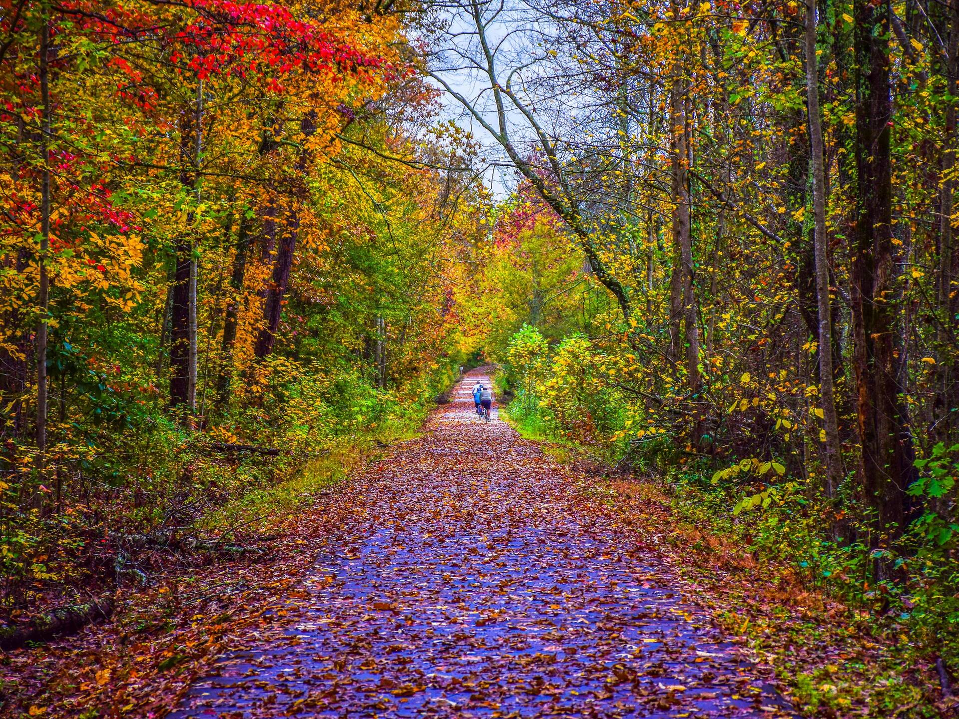 18 Best Bike Trails in the U.S. Worthy of a Trip