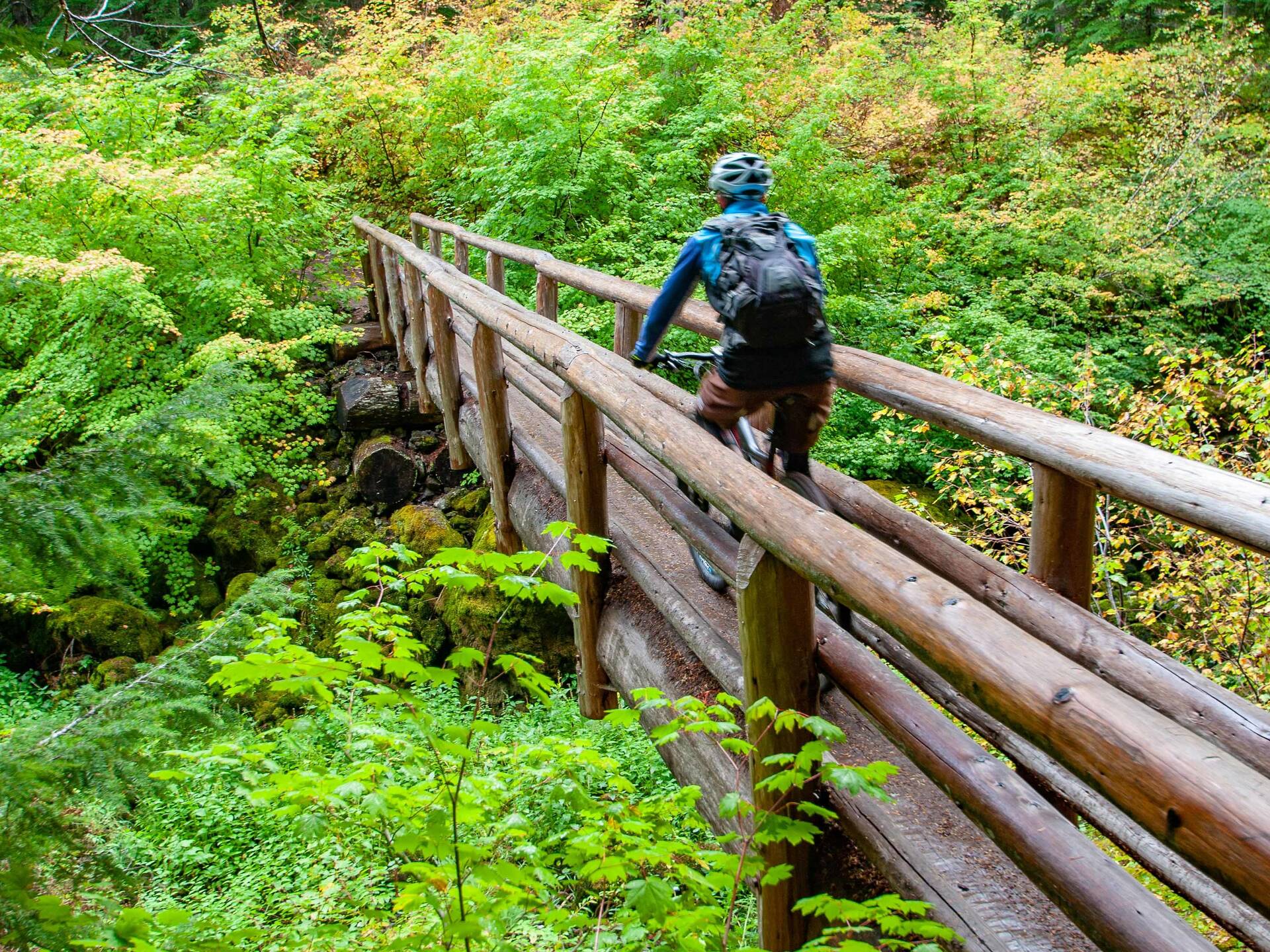 15 Best Bike Trails in the U.S. Worthy of a Trip