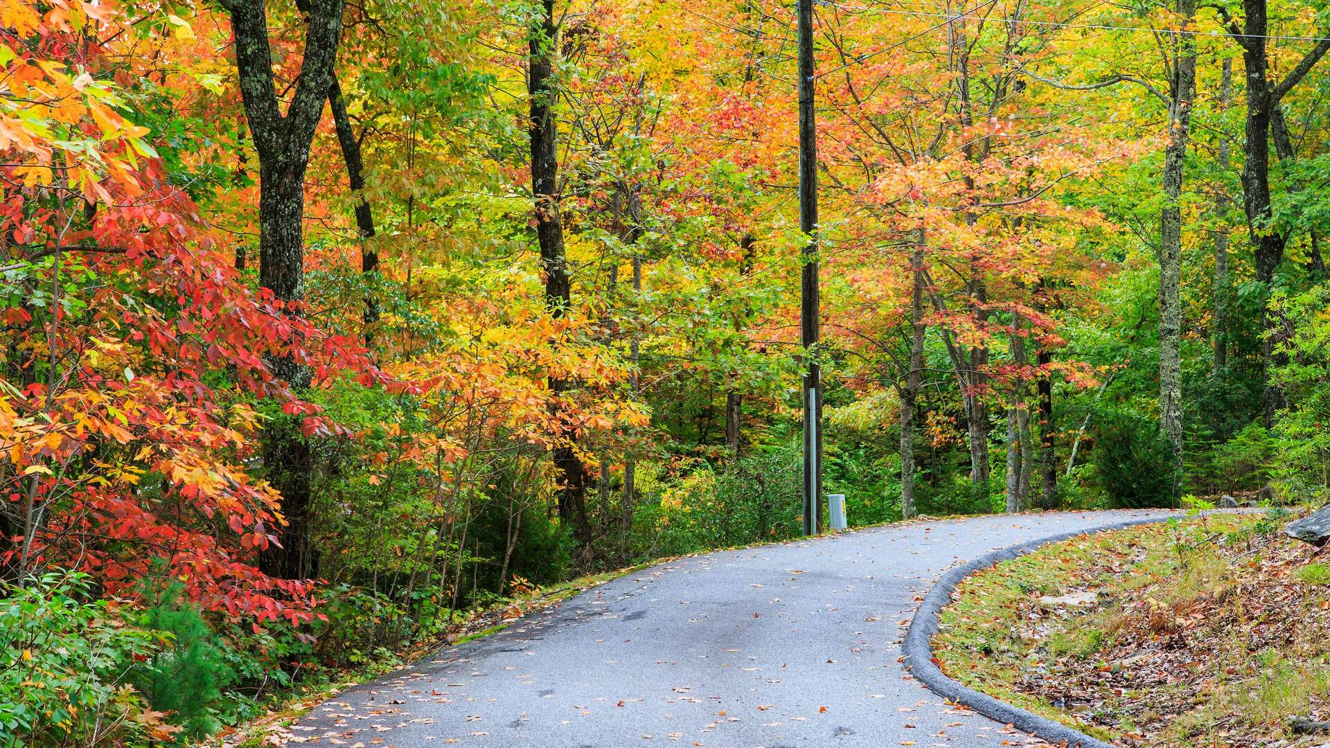 18 Best Bike Trails in the U.S. Worthy of a Trip