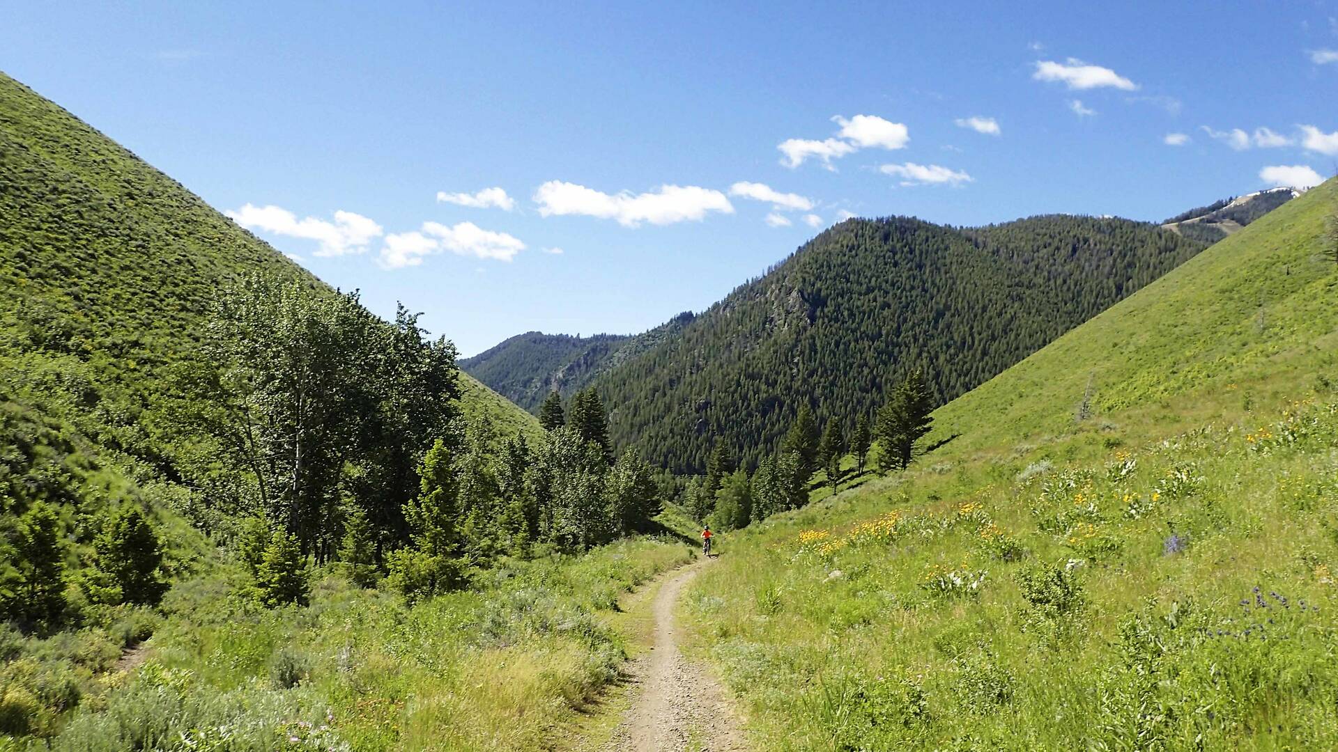 18 Best Bike Trails in the U.S. Worthy of a Trip