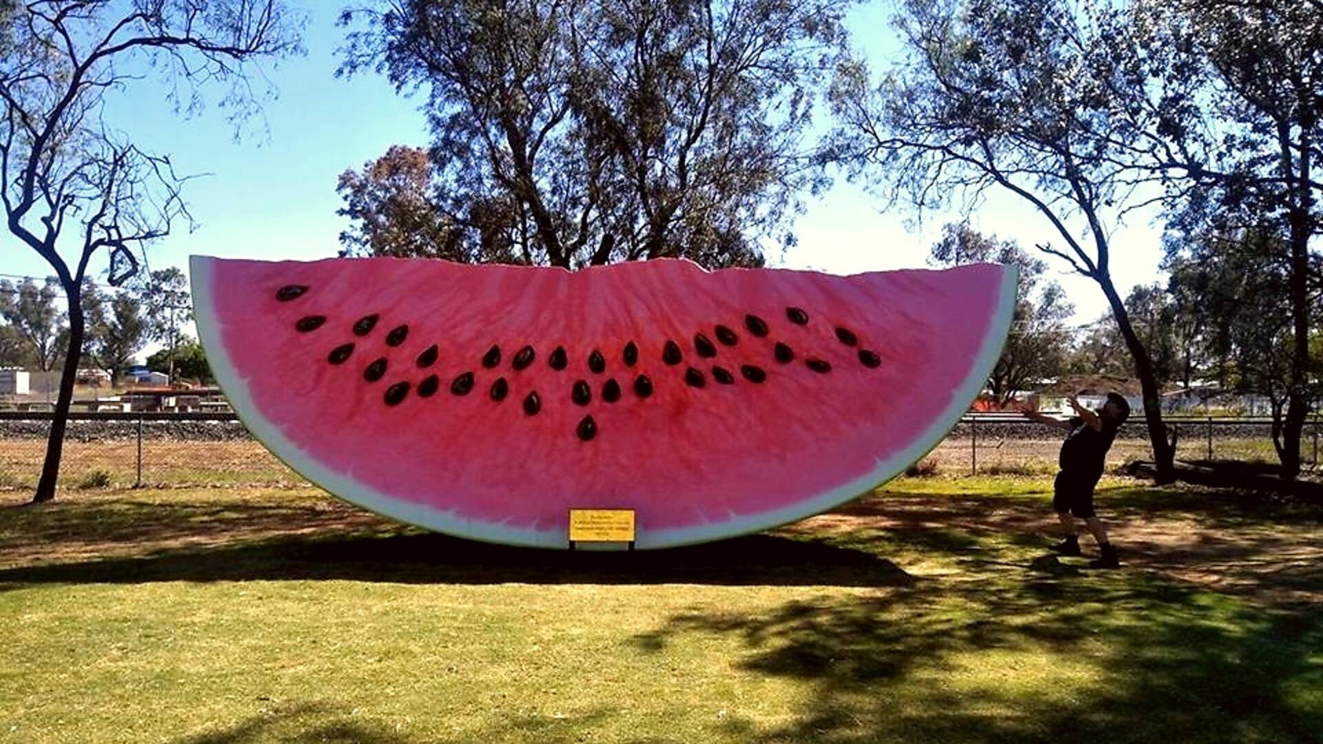 Australia's big things: where to find the best