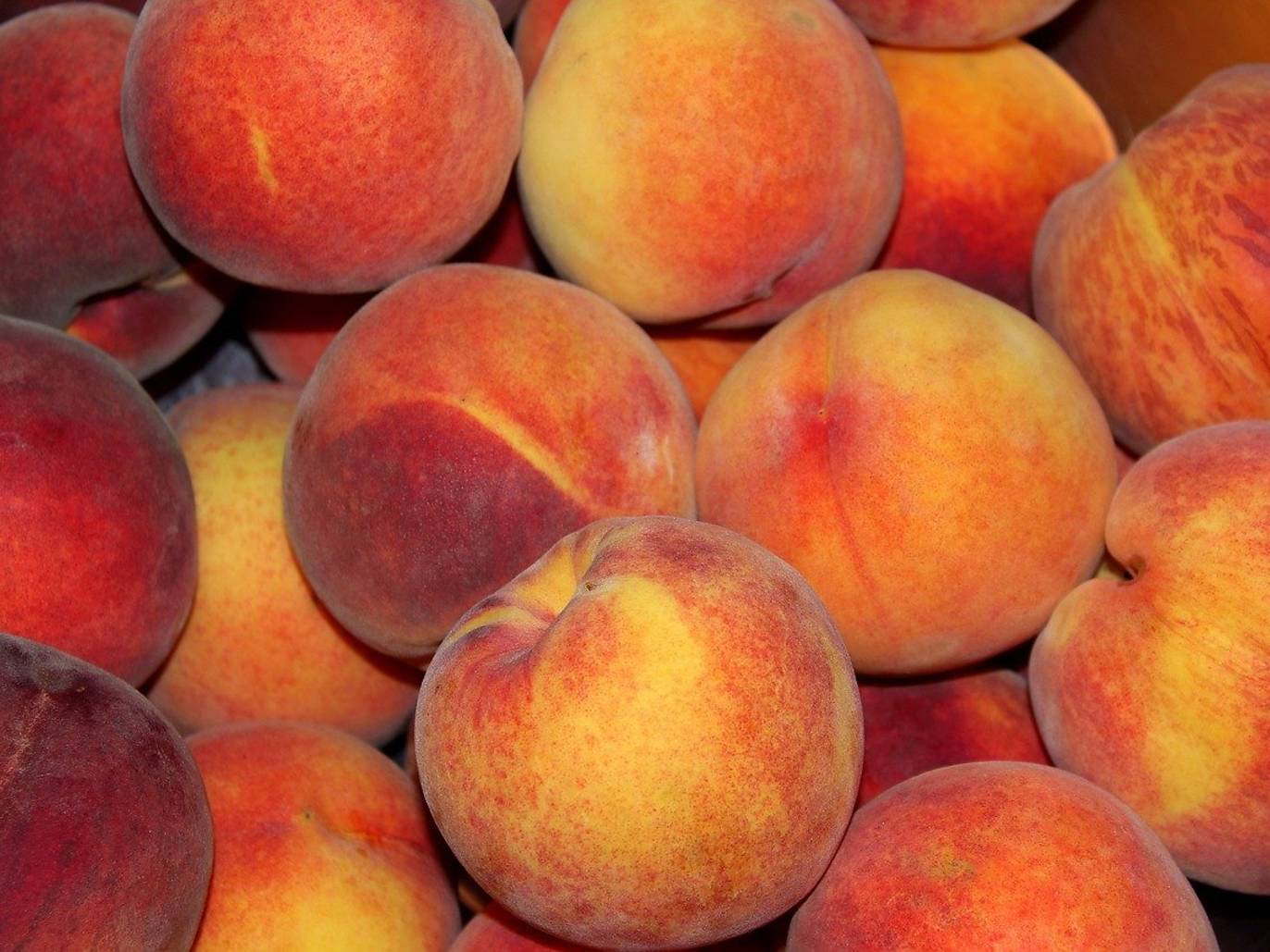 8 Farms for Peach Picking Near NYC This Summer