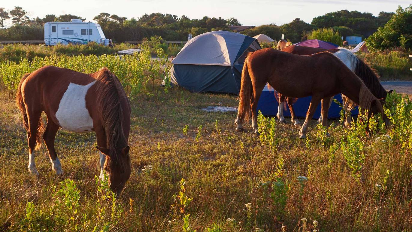 13 Best Camping in the USA for Outdoor Enthusiasts