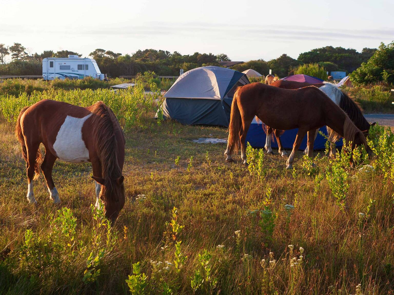 13 Best Camping in the USA for Outdoor Enthusiasts