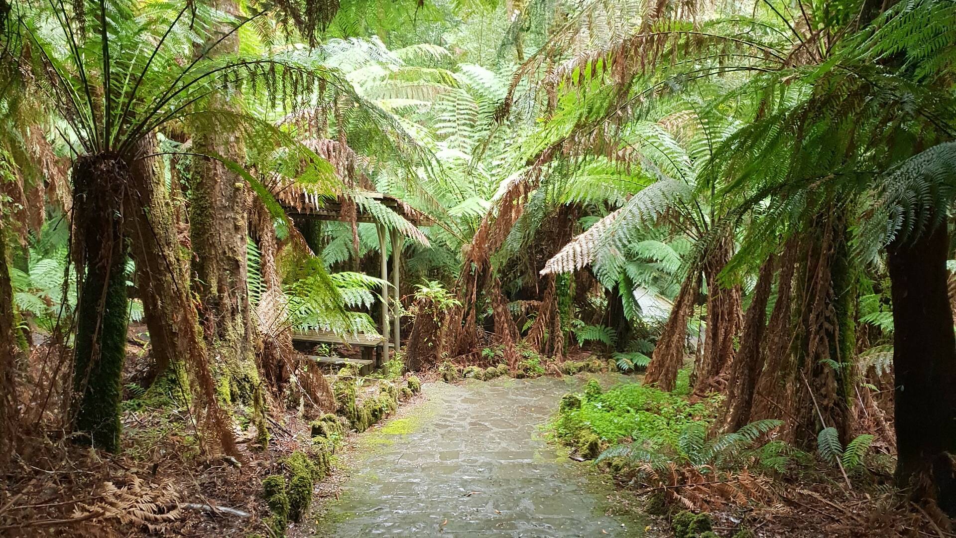 What to eat, drink and things to do in Central Gippsland