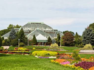 30 Ways To Still Have An Amazing Summer in Chicago 2020