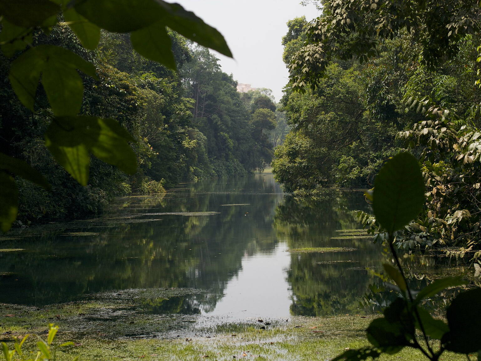 The Ultimate Guide To Jurong Lake Gardens