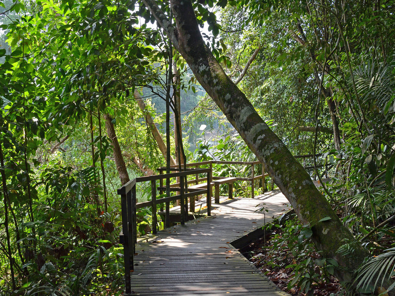 58 Reasons Why We Love Singapore