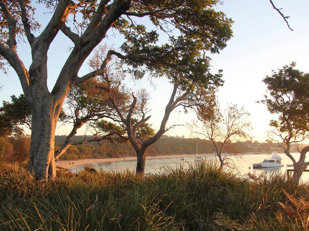 The 9 best easy day hikes near Sydney
