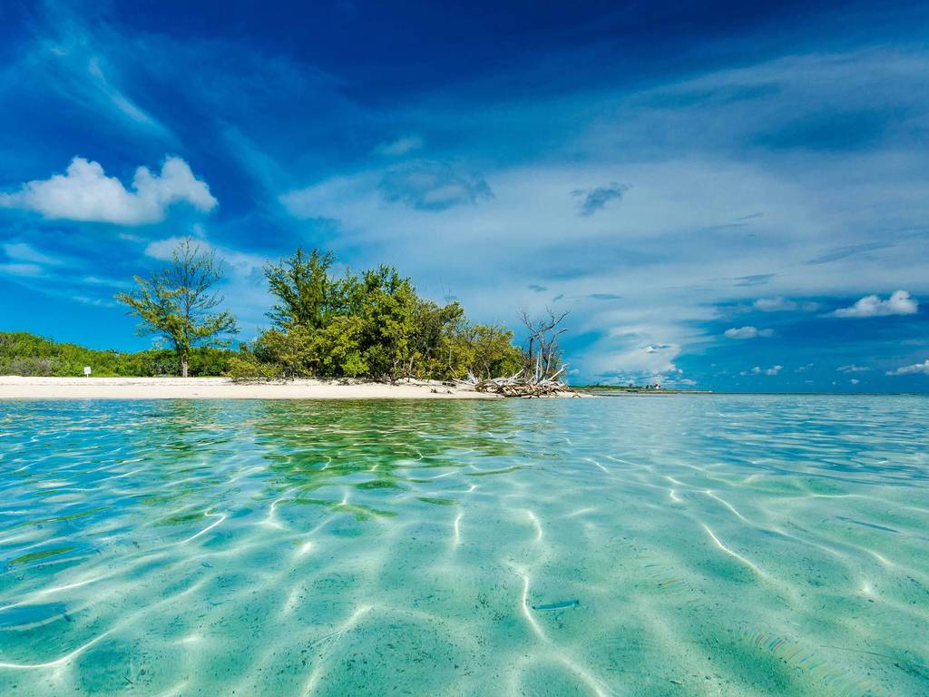 6 Best Day Trips From Miami When You Need a Quick Getaway