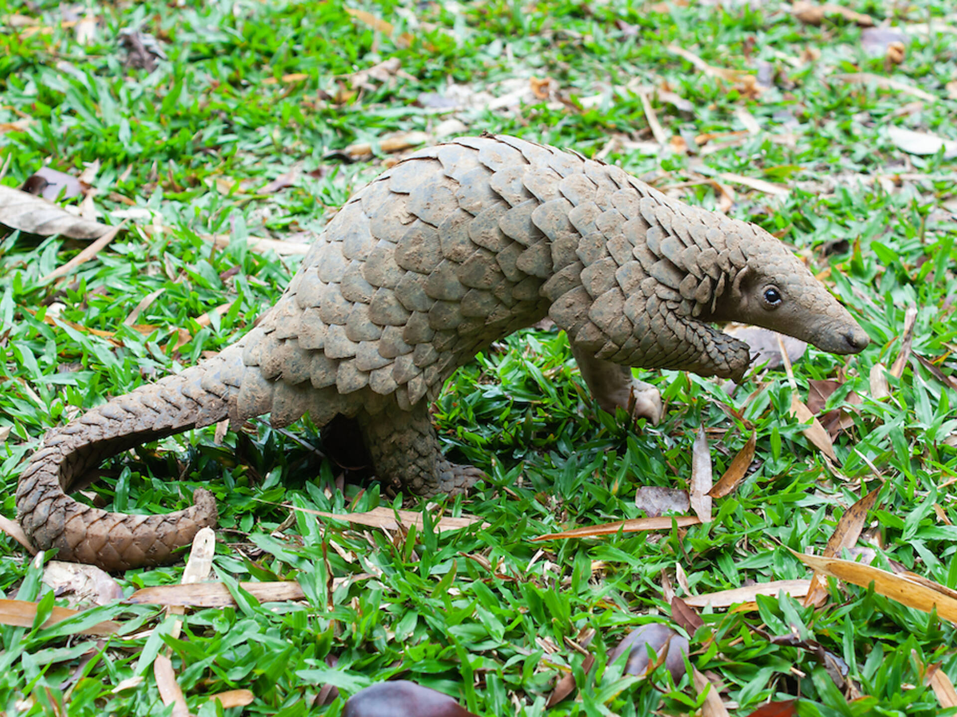 58 Reasons Why We Love Singapore