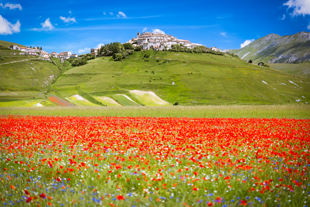 The Italian Village Of Castelluccio Is Surrounded By Rainbow Fields Of The Italian Village Of Castelluccio Is Surrounded By Rainbow Fields Of