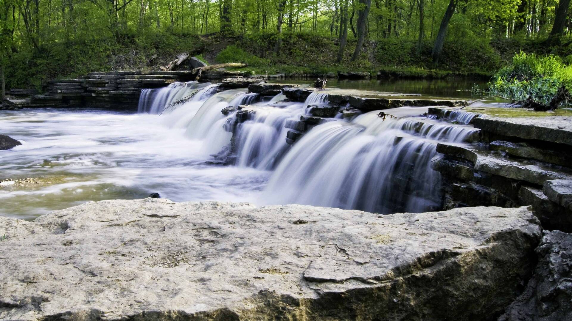 26 Best Places for Hiking Near Chicago in 2024
