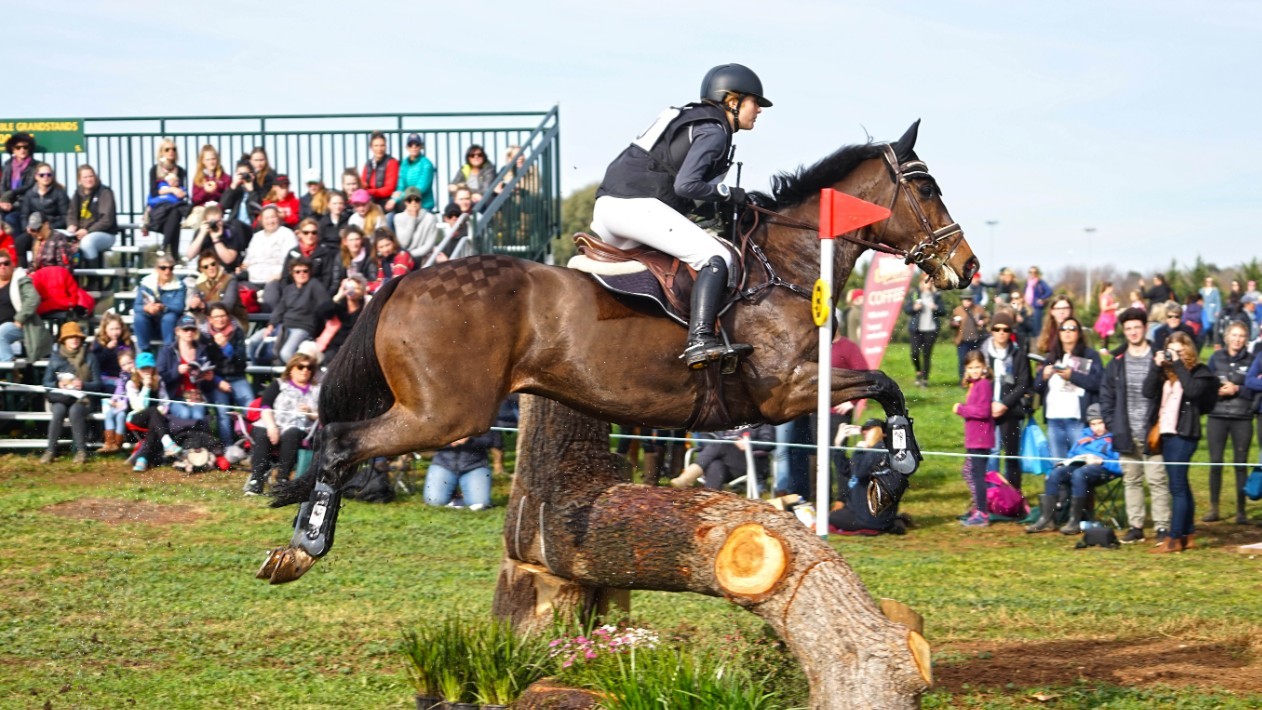 Werribee Park National Equestrian Centre | Sport and fitness in ...
