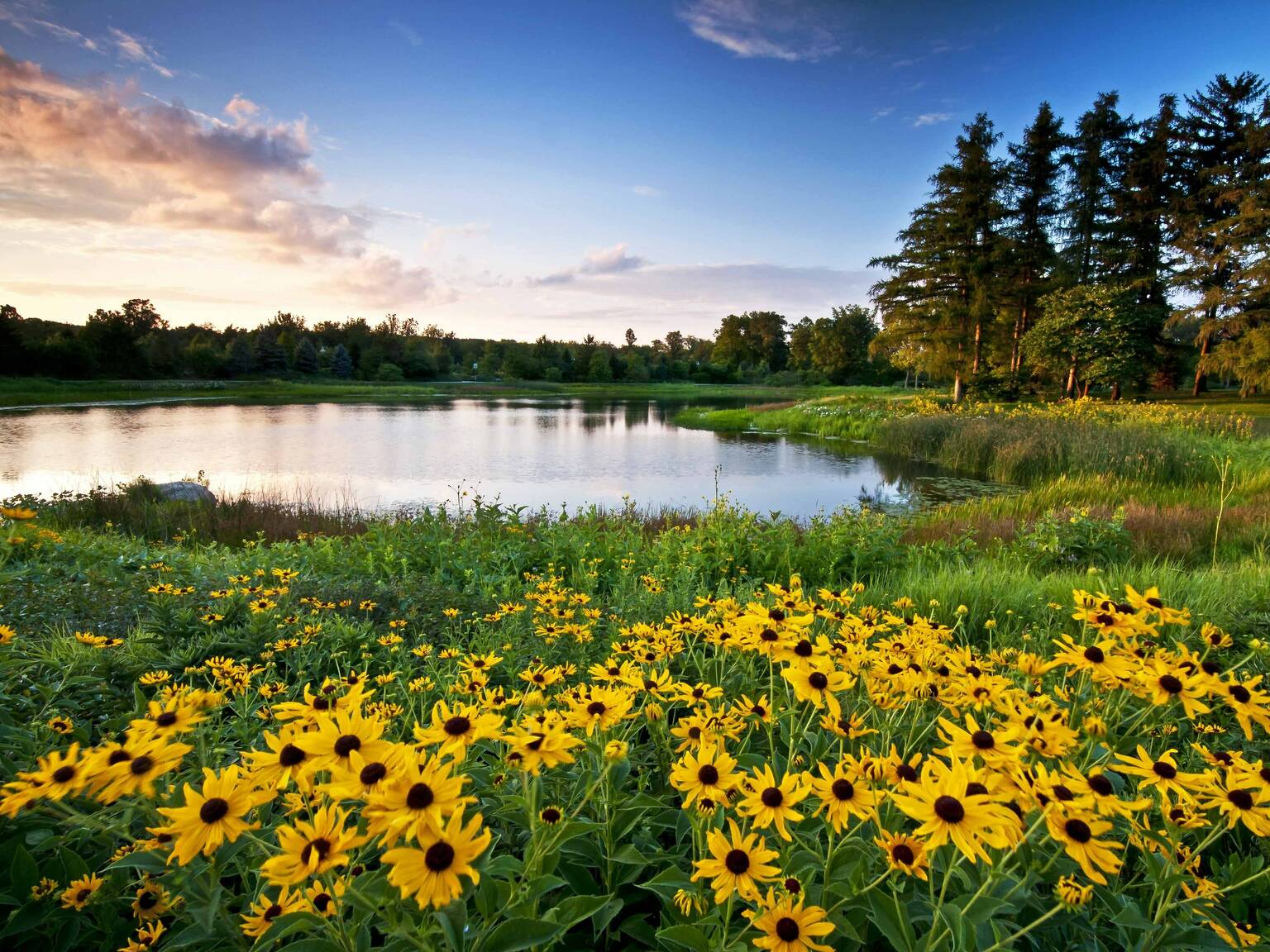 26 Best Places for Hiking Near Chicago in 2024