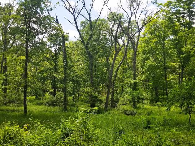 17 Best Places for Hiking Near Chicago in 2021