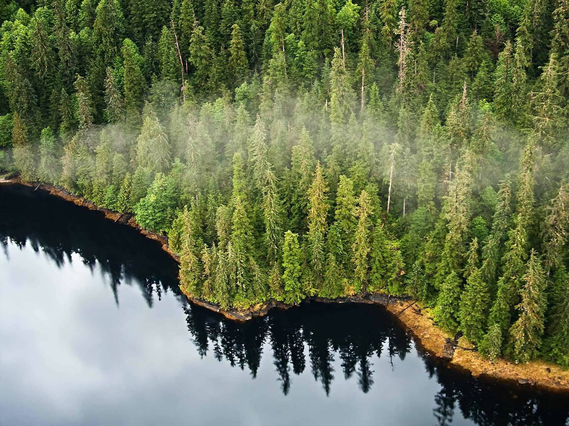 18 Best National Forests in the U.S. To Explore Right Now