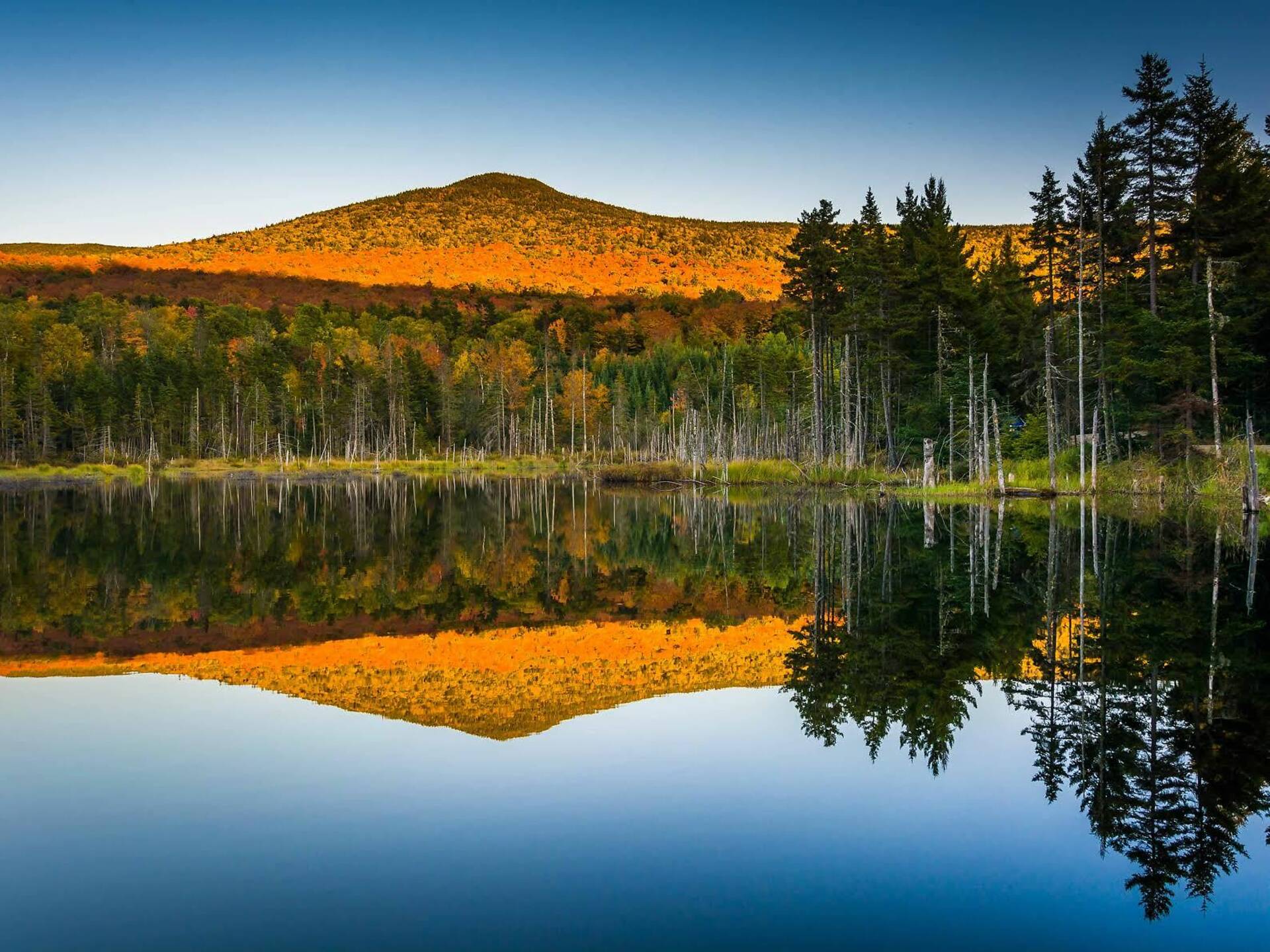 18 Best National Forests in the U.S. To Explore Right Now