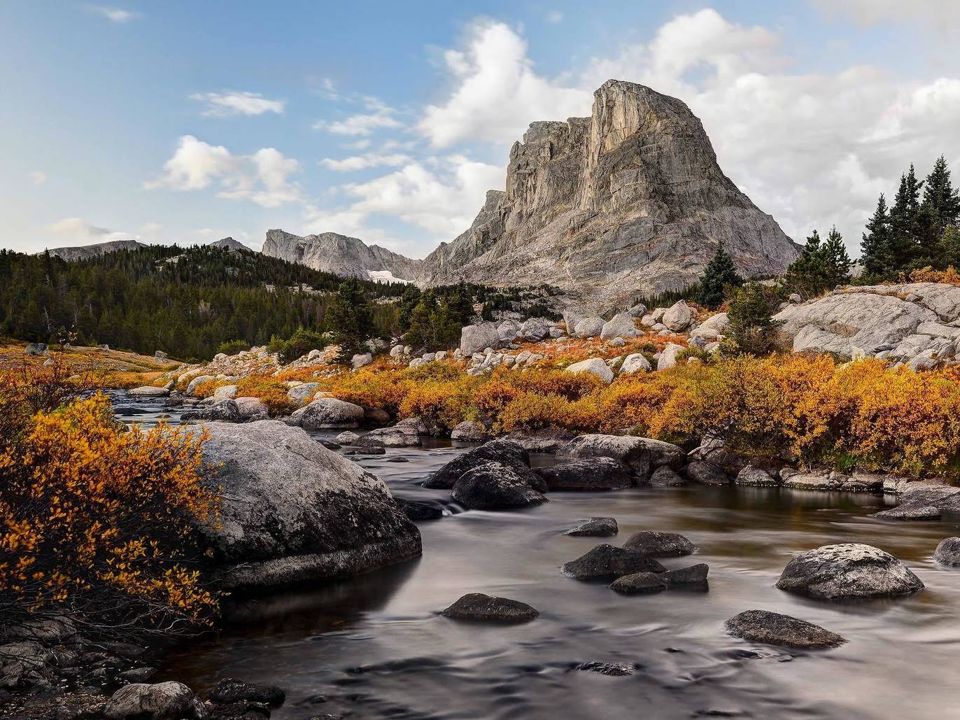 18 Best National Forests in the U.S. To Explore Right Now