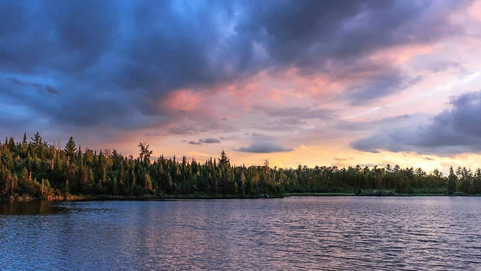 18 Best National Forests in the U.S. To Explore Right Now