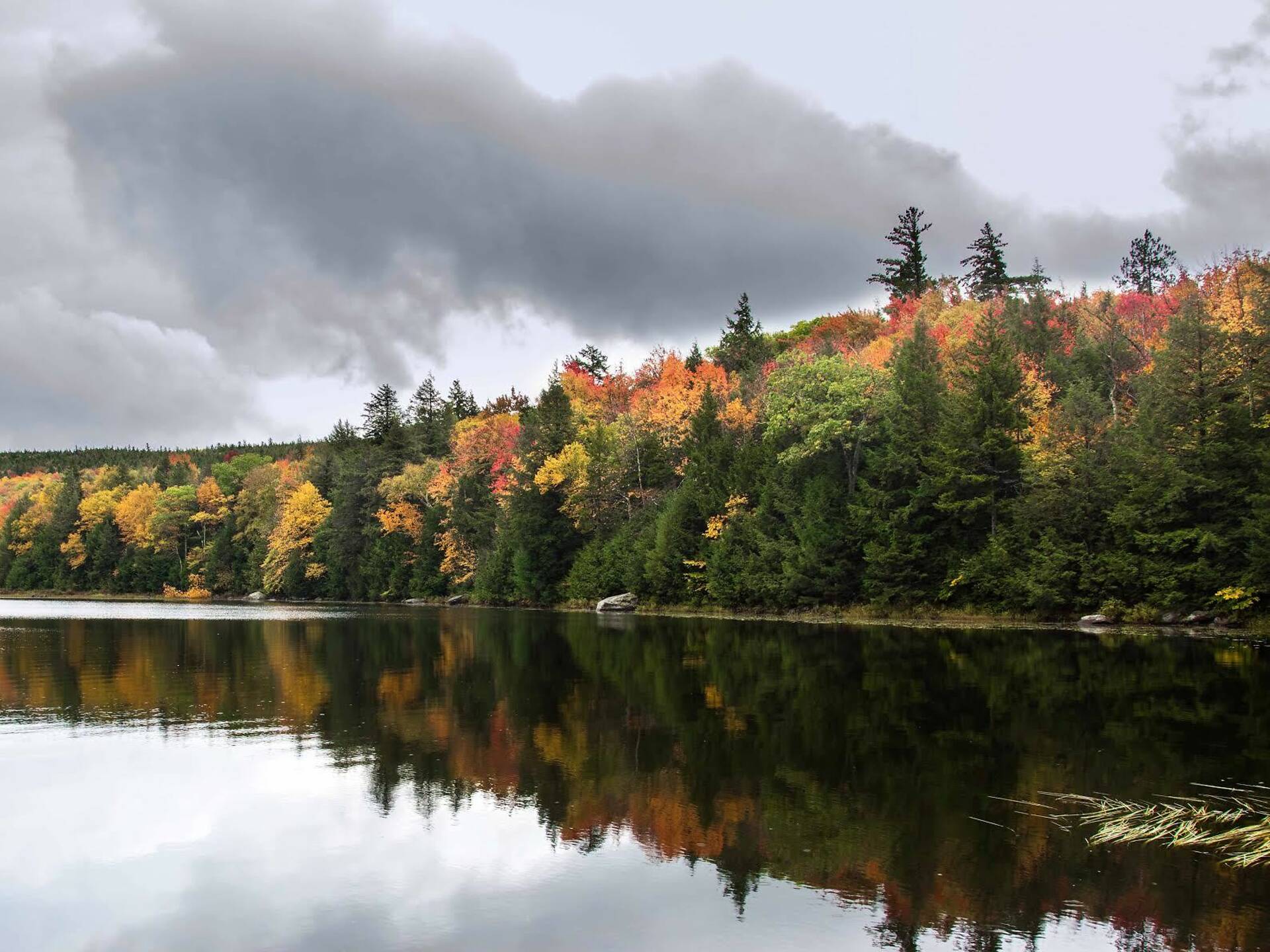 The Best Fall Foliage in the USA For Beautiful Fall Colors