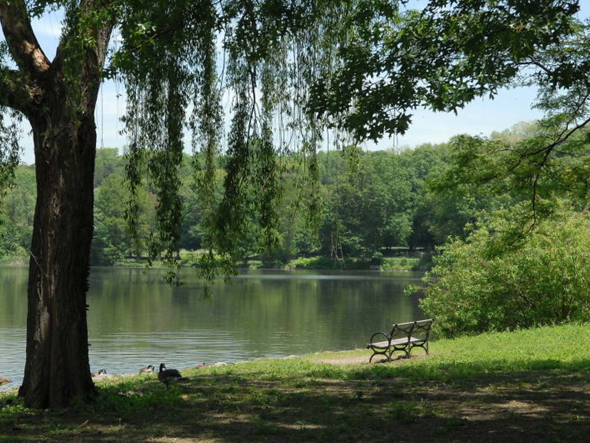 9 best spots for fishing NY families love