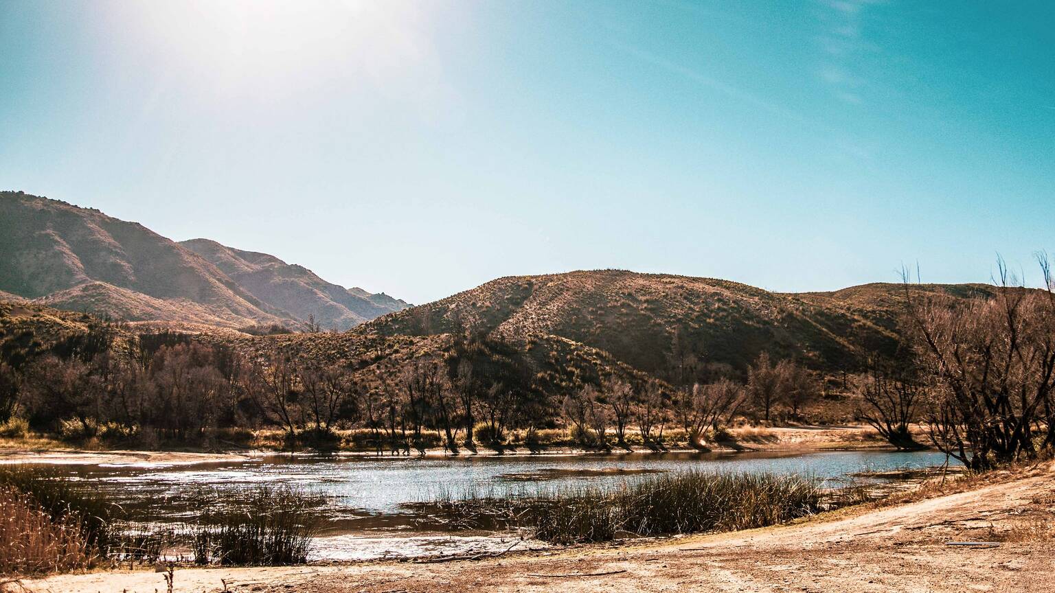 10 Best National Forests in California for an Outdoor Adventure