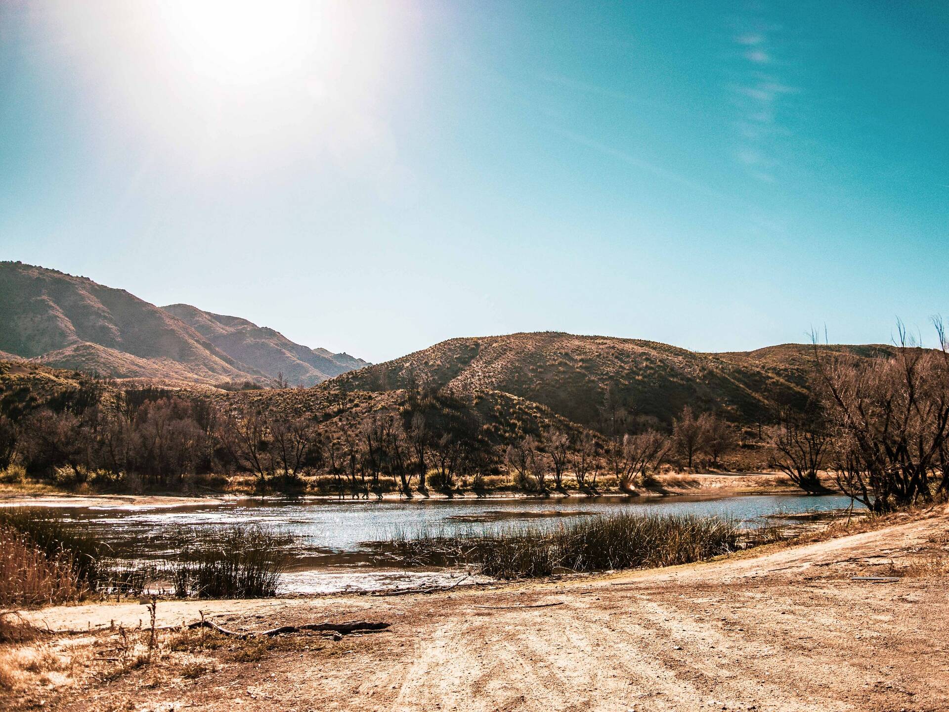 10 Best National Forests in California for an Outdoor Adventure