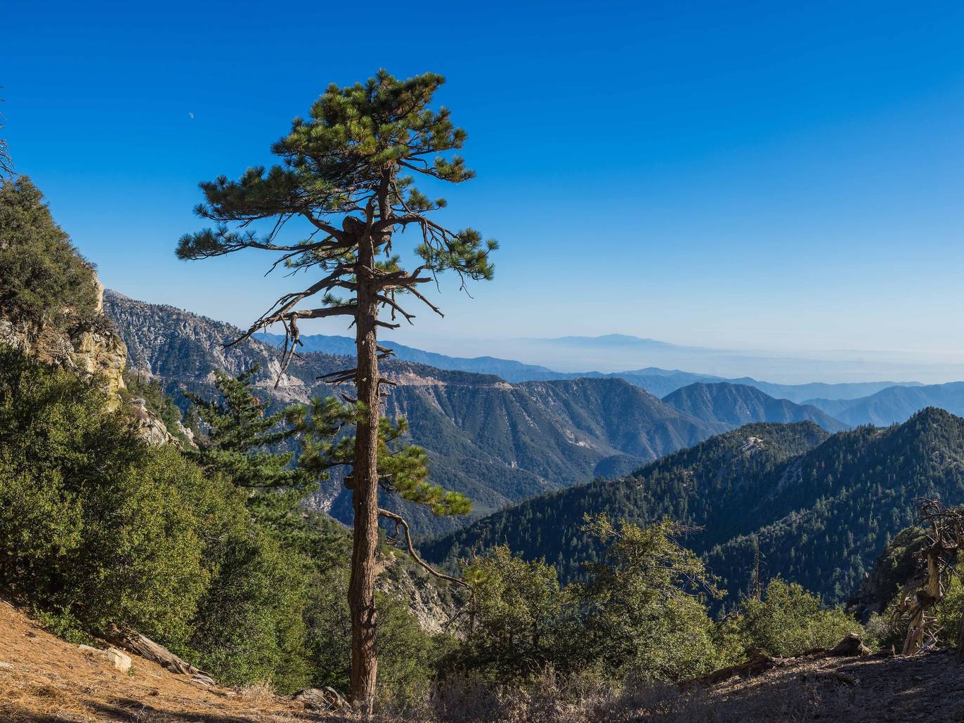 10 Best National Forests in California for an Outdoor Adventure