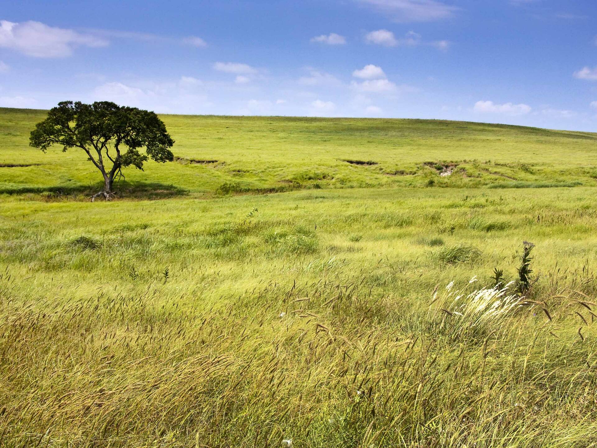 Top Outdoor Adventure in Every State in the USA