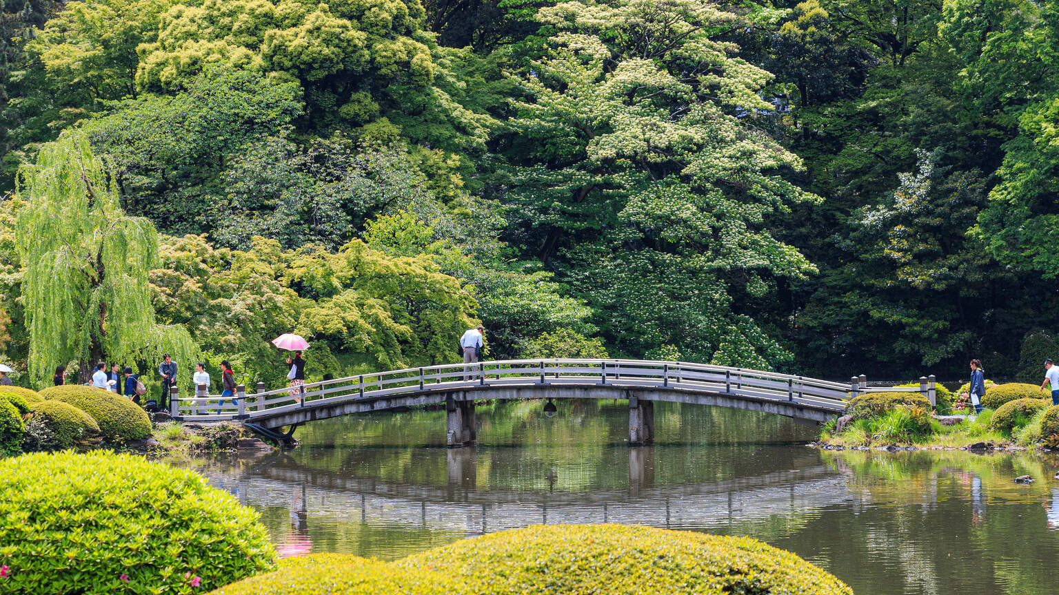 7 best Japanese gardens in Tokyo to enjoy Japan's seasonal beauty