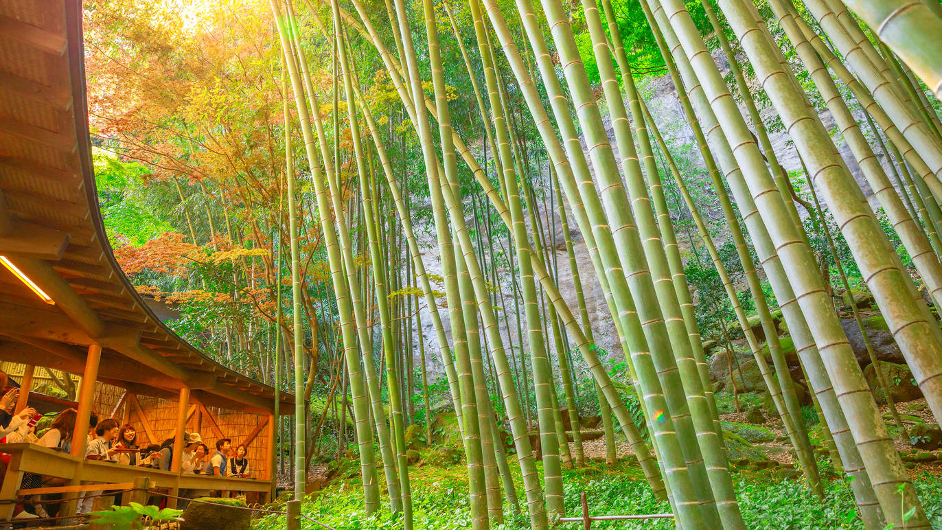 7 best nature escapes in Tokyo