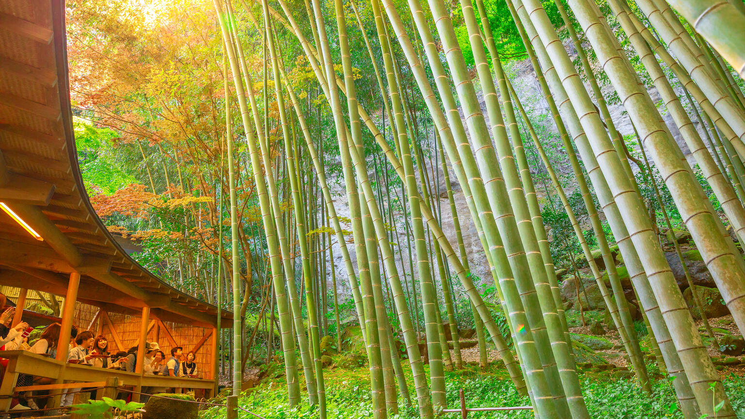 7 best nature escapes in Tokyo