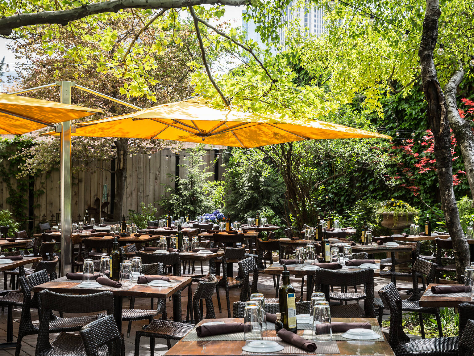 35 Best Italian Restaurants in Chicago