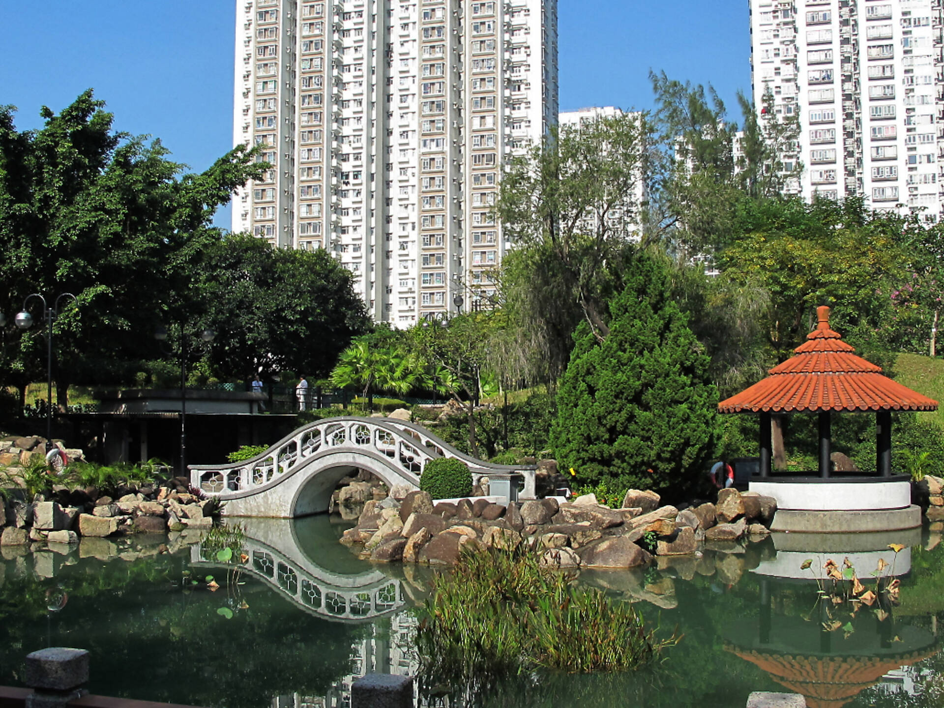 Hidden Gardens and Green Spaces in Hong Kong