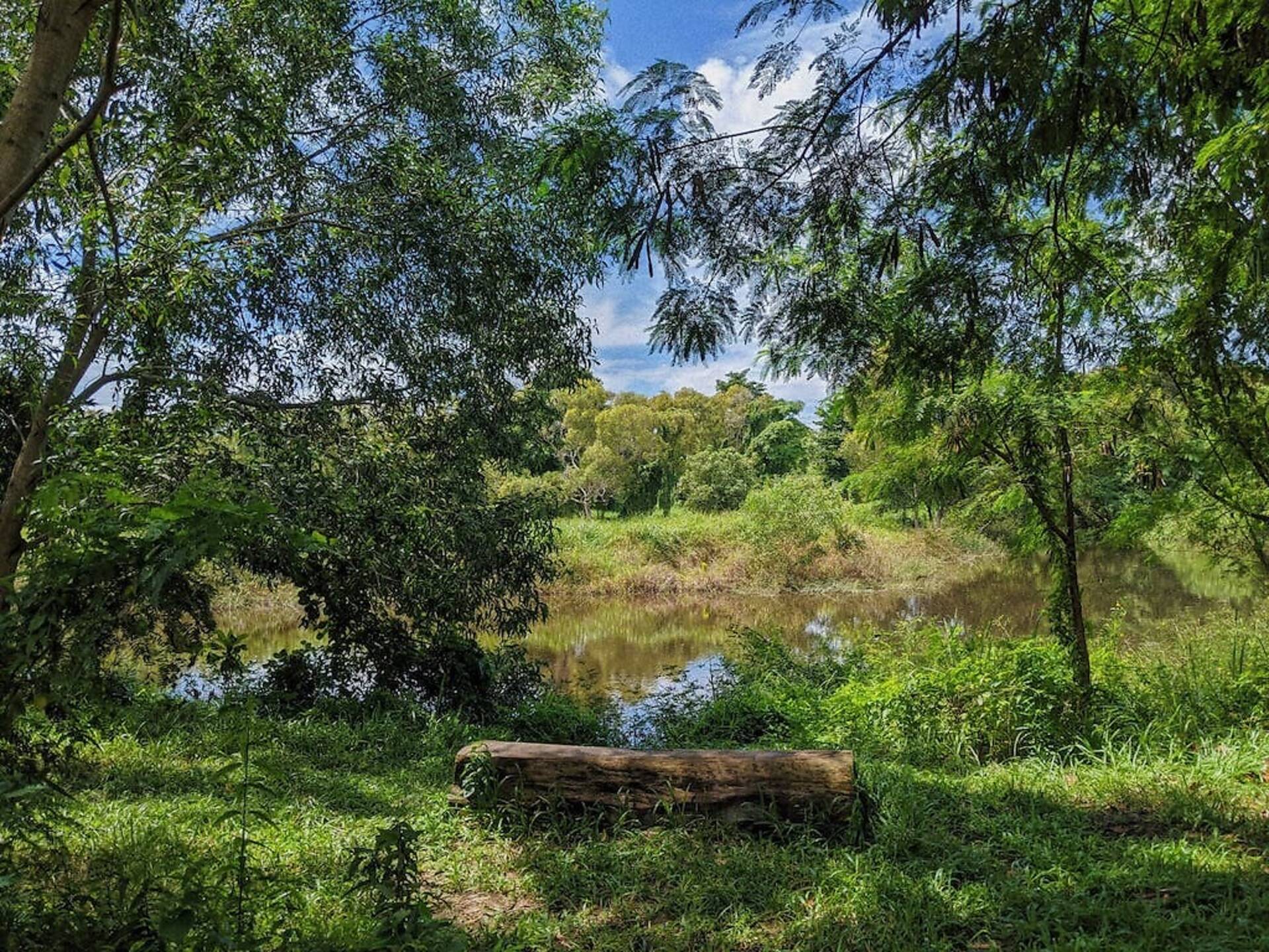 10 Natural Landmarks in Singapore To Explore