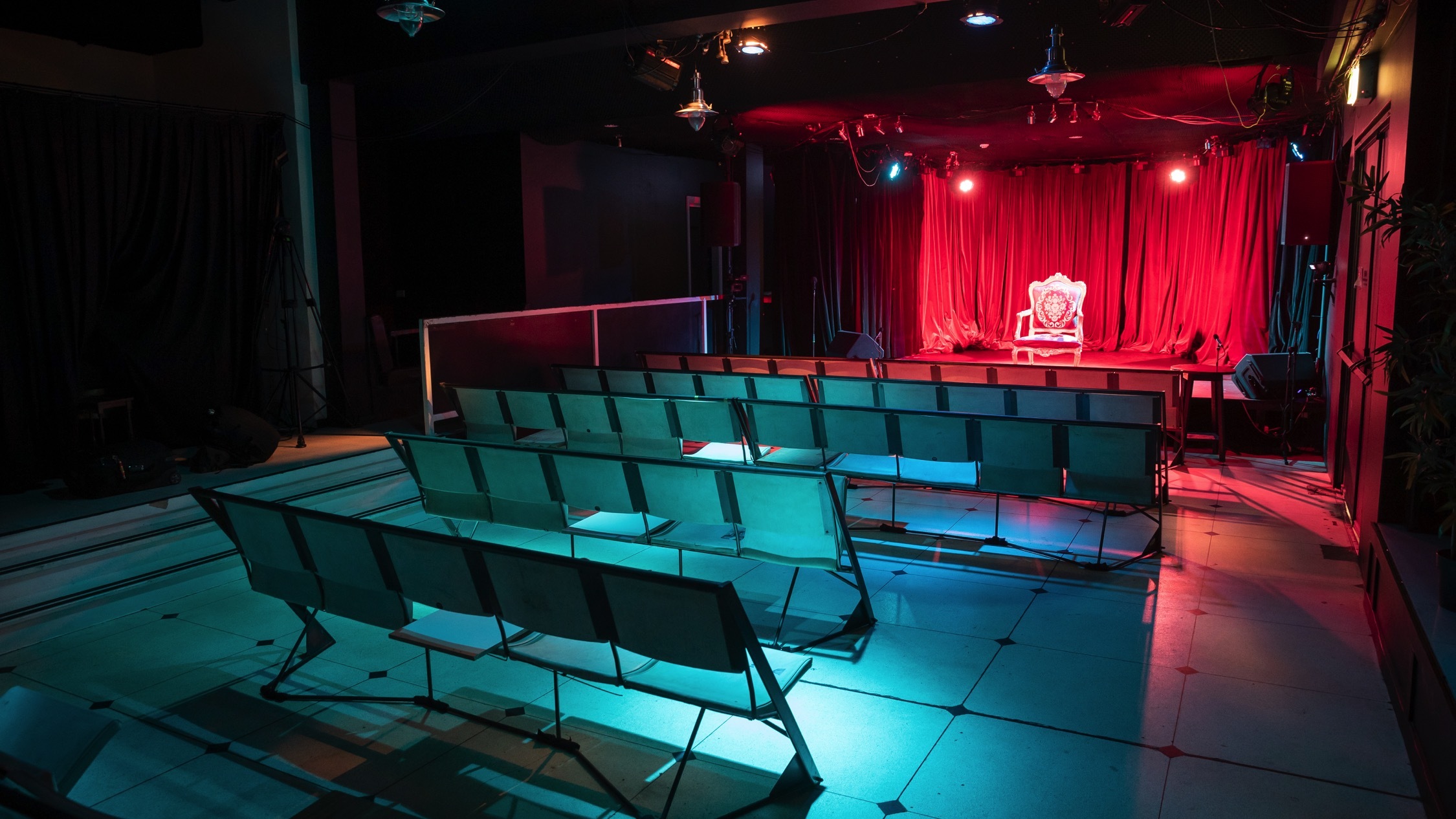 Giant Dwarf | Comedy in Surry Hills, Sydney