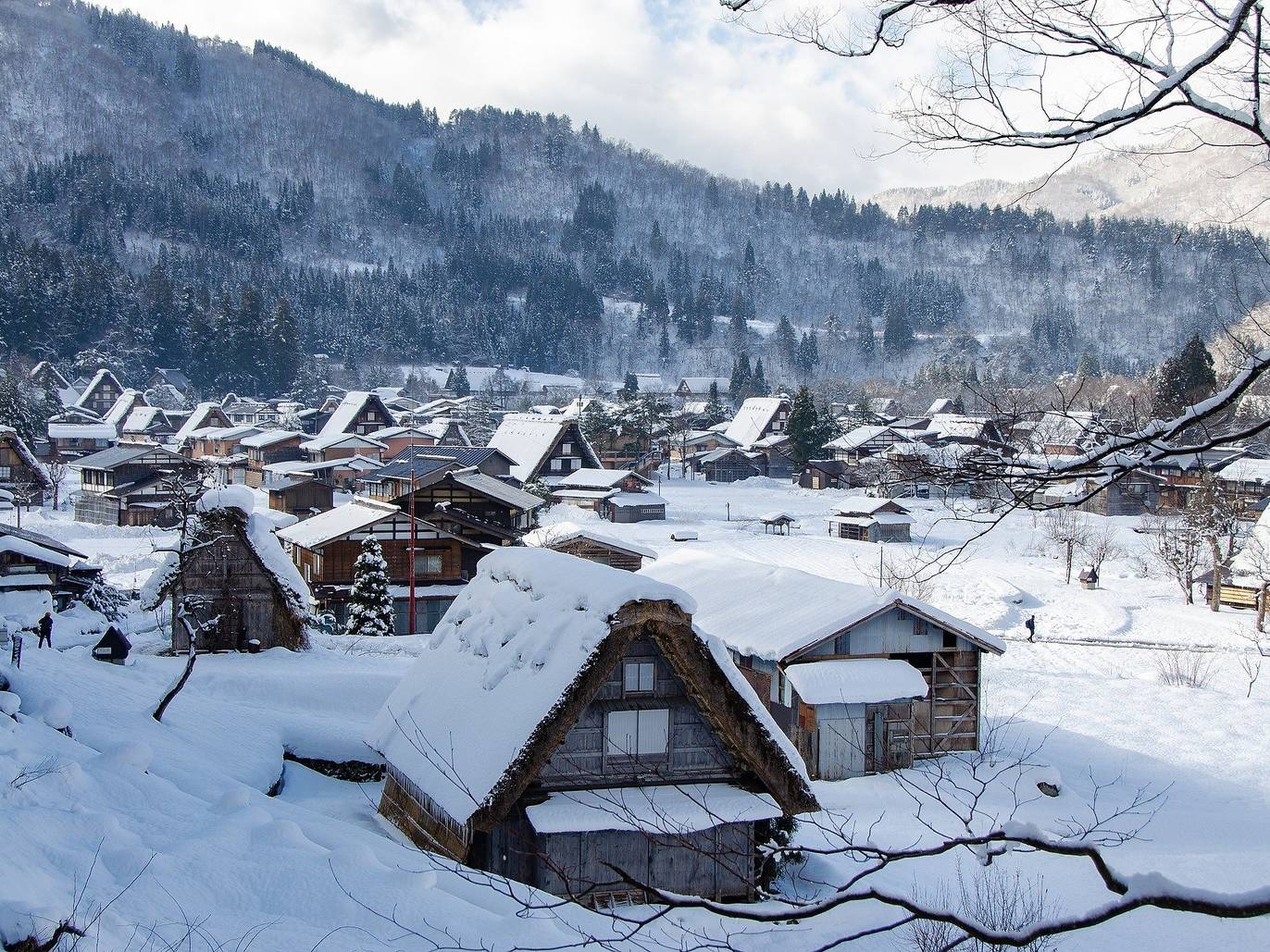 Most beautiful winter destinations in Japan | Time Out Tokyo