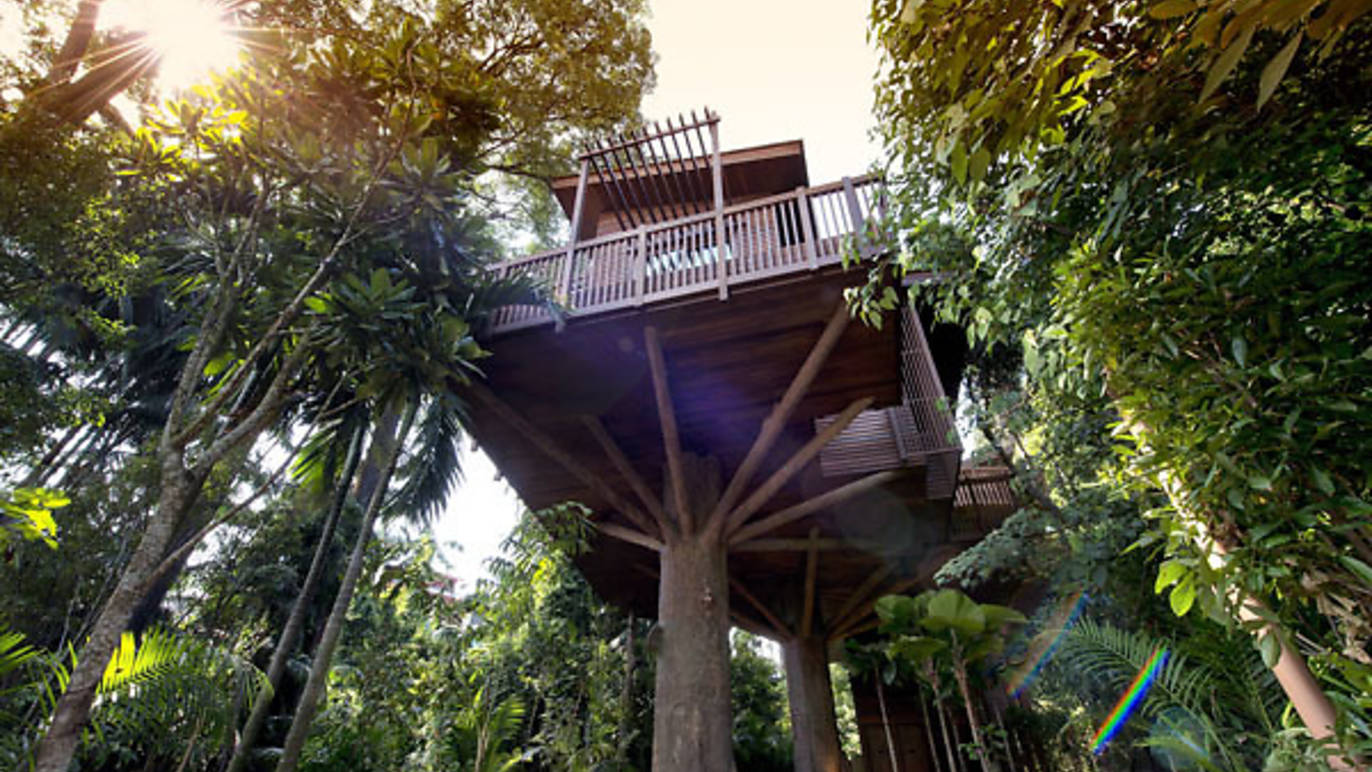 Treetop Lofts Sentosa | Hotels in Sentosa, Singapore