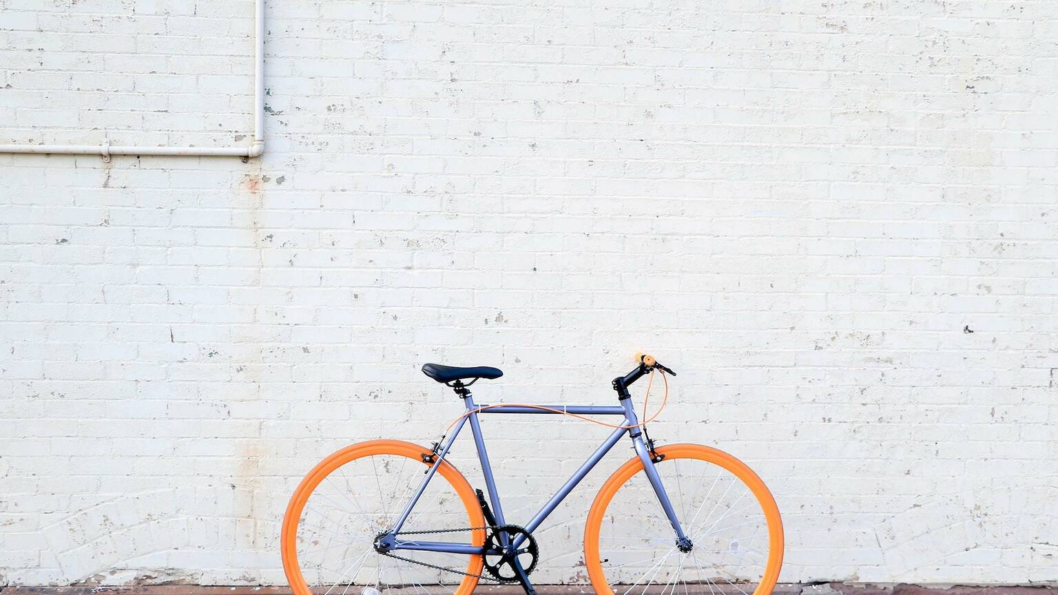 8 Best Bike Shops in Miami for all Kinds of Cyclists