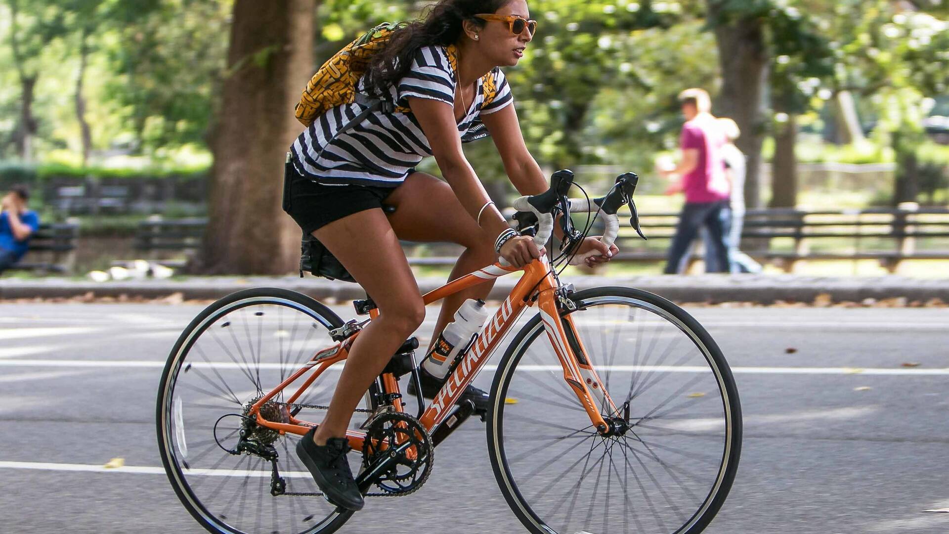 8 Best Bike Shops in Miami for all Kinds of Cyclists