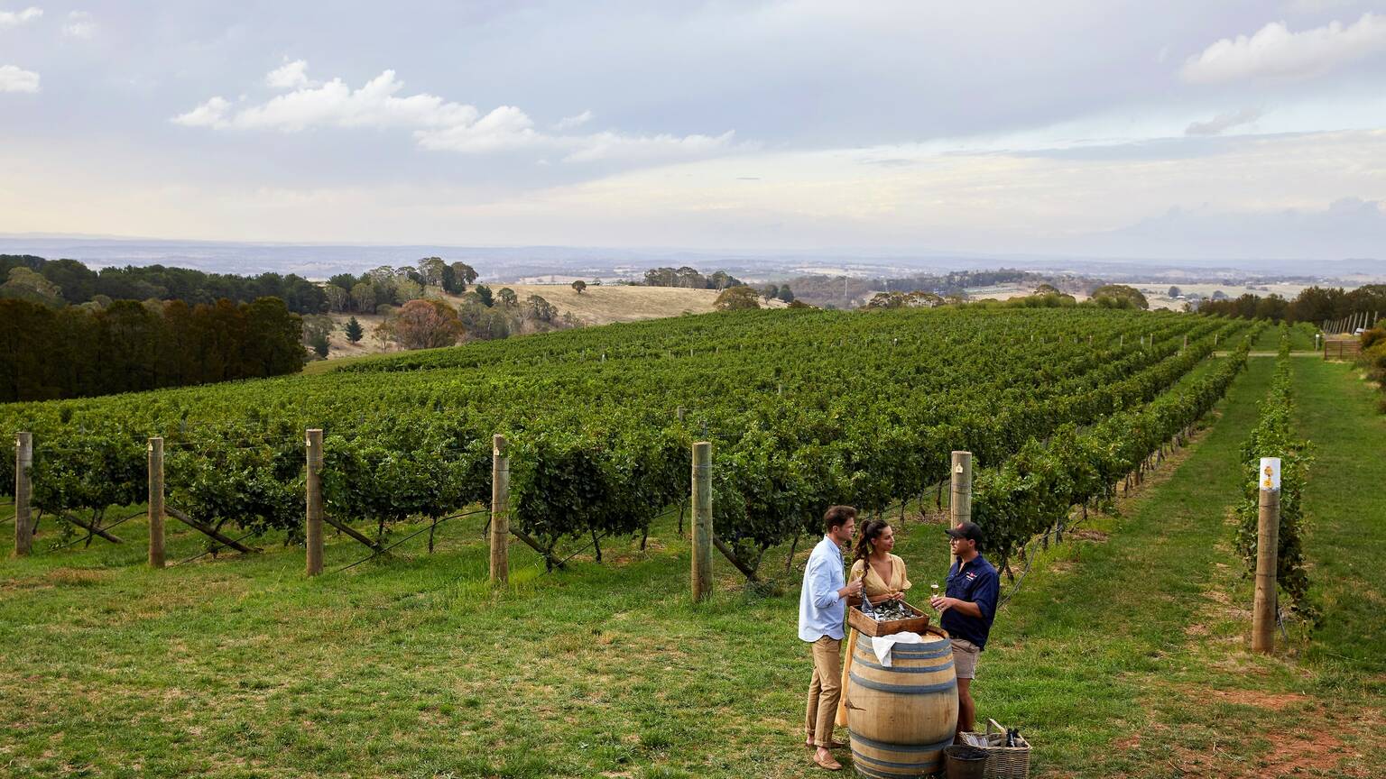 A complete guide to Orange