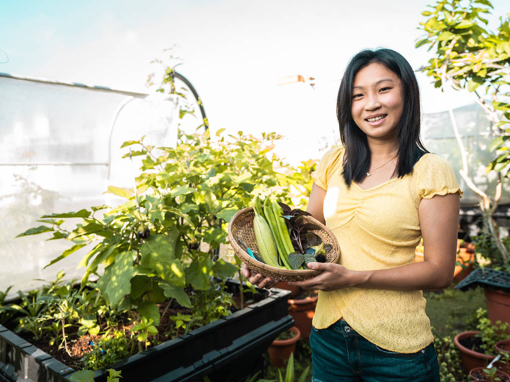 6 Simple Home Gardening Tips To Grow Food In Singapore