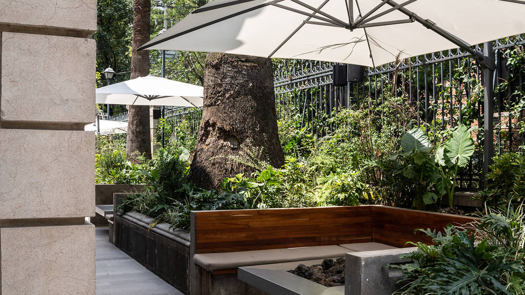 Madre Café. El café-bar y restaurante que necesitabas en la Roma