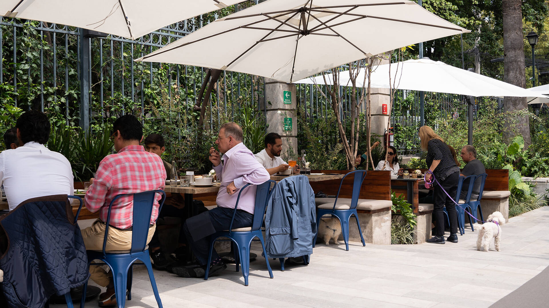 Madre Café. El café-bar y restaurante que necesitabas en la Roma