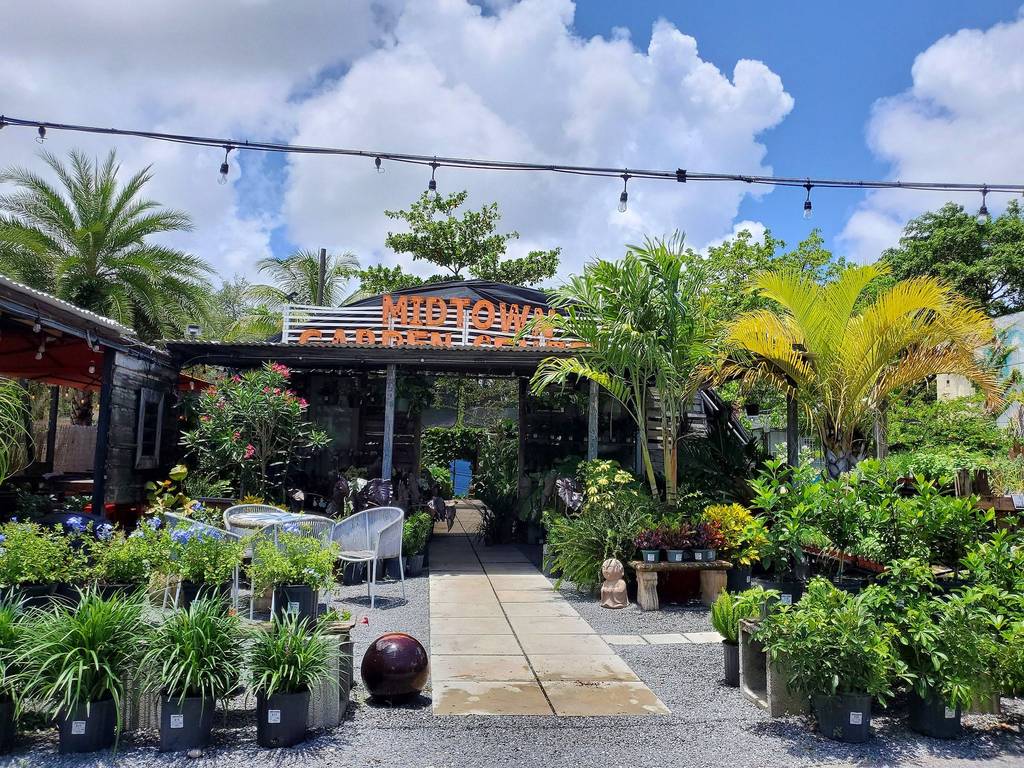 13 Best Plant Shops in Miami for the Touch of Green You Seek
