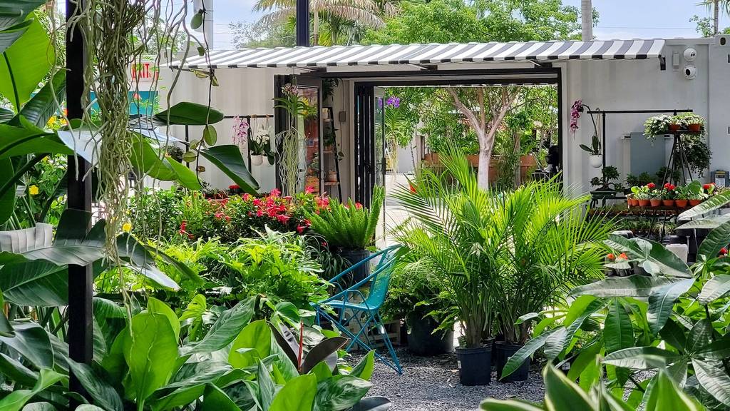 13 Best Plant Shops in Miami for the Touch of Green You Seek