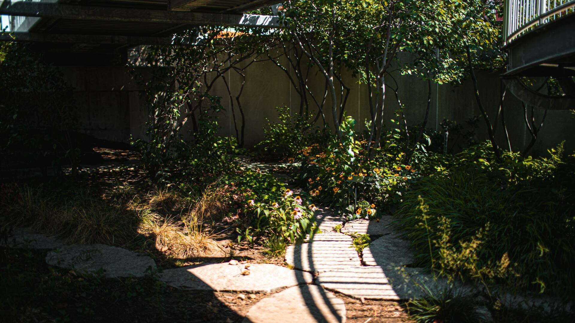 Five secrets of Greenpoint, Brooklyn