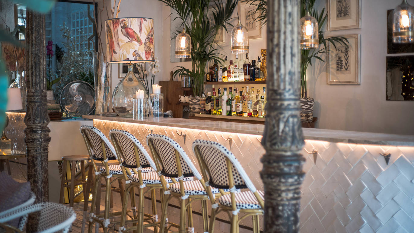 Ficus Bar, cócteles de autor en un local exótico de la noche madrileña