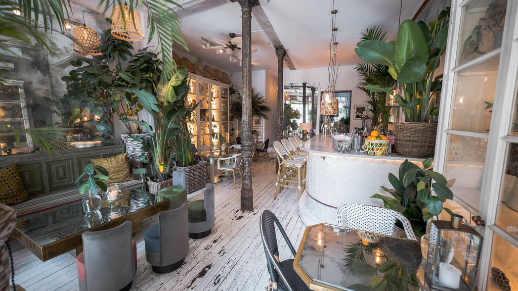 Ficus Bar, cócteles de autor en un local exótico de la noche madrileña